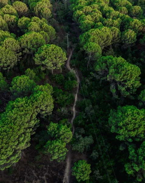 Aerial view of a wildlife corridor in tossa de mar spain Stockfotos ...