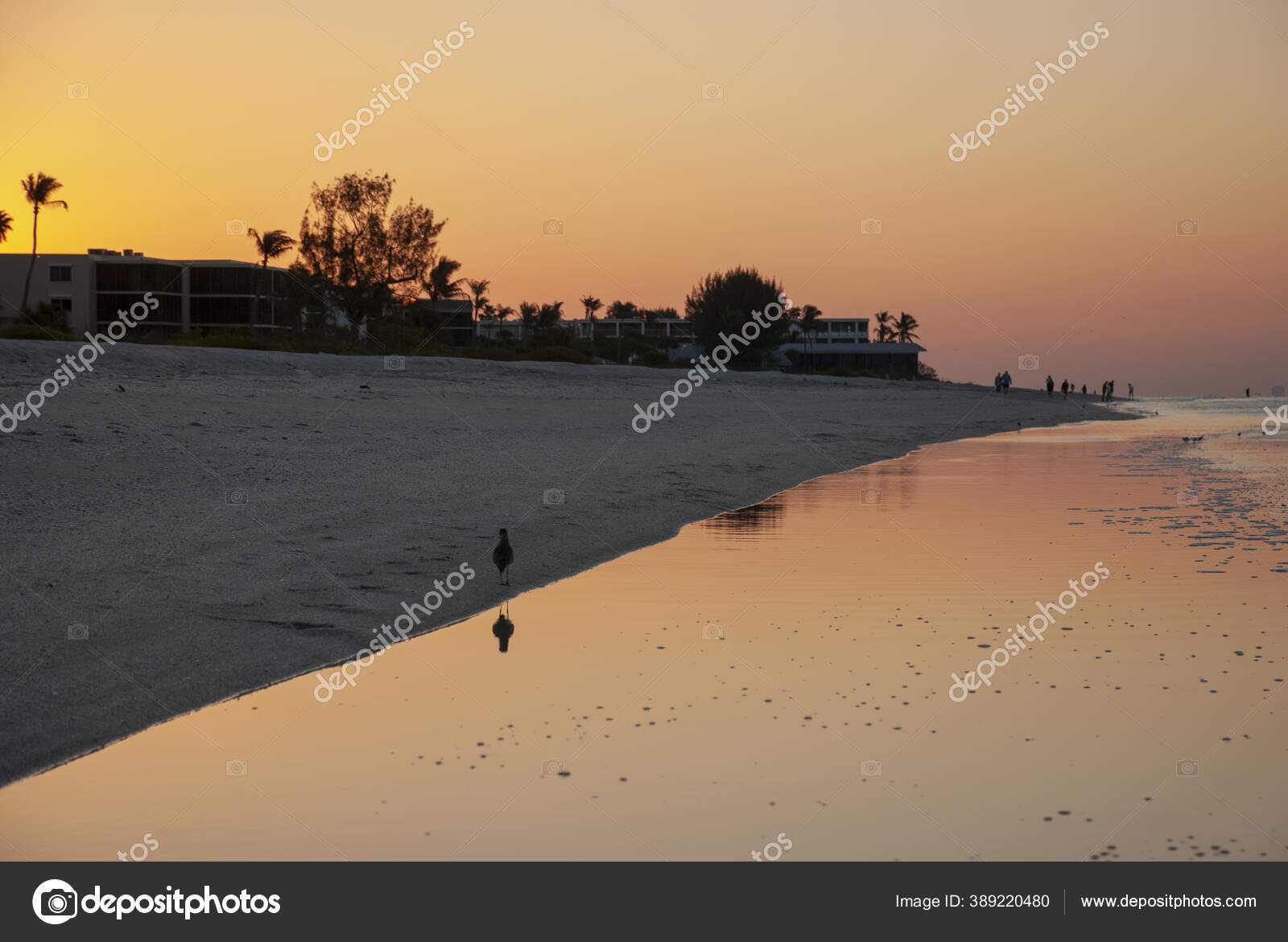 Breathtaking Scenery Beach Golden Hour Pink Hues Reflected Water Stock ...