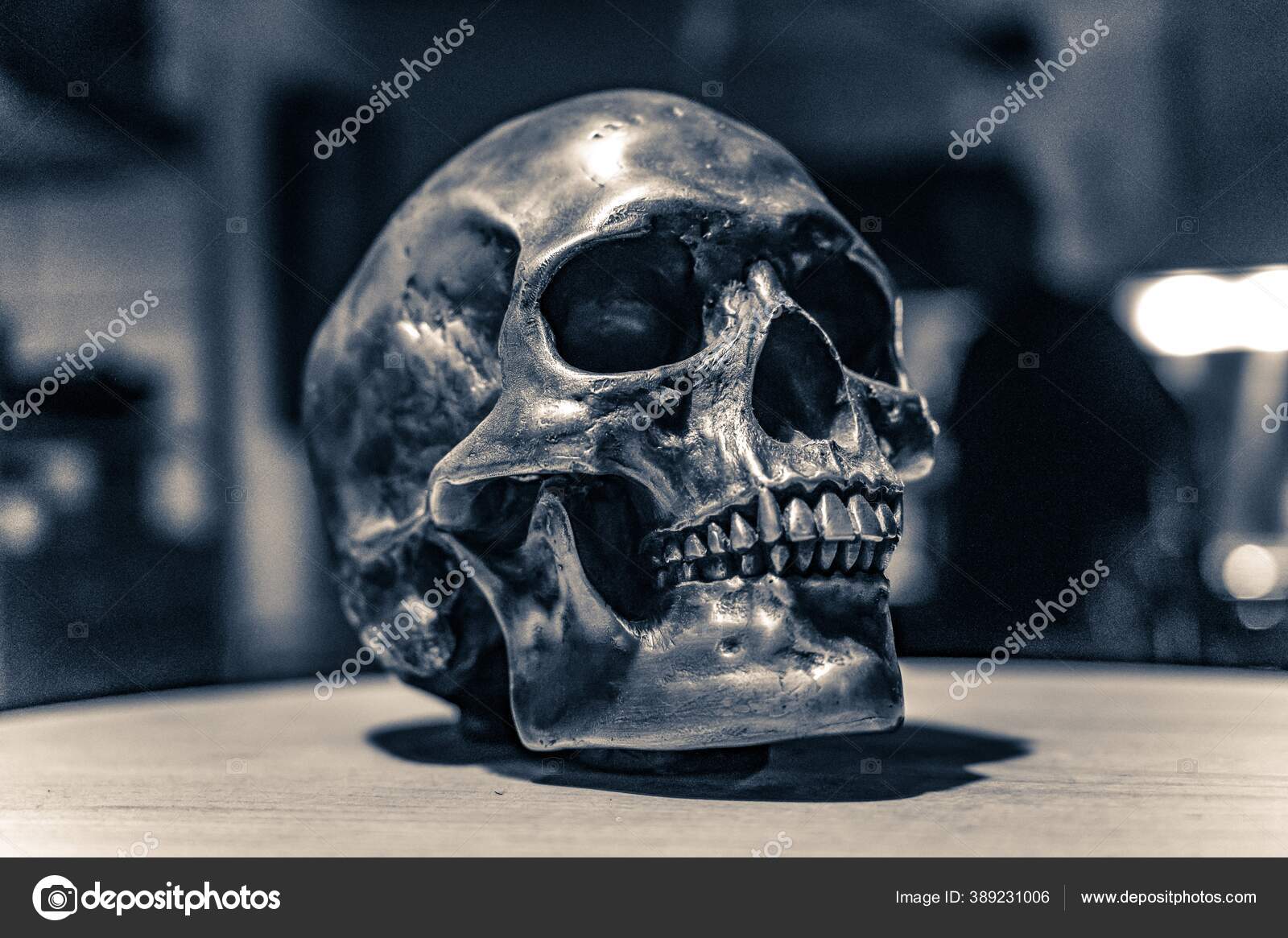 Closeup Grayscale Shot Human Skull Horror Concept — Stock Photo ...