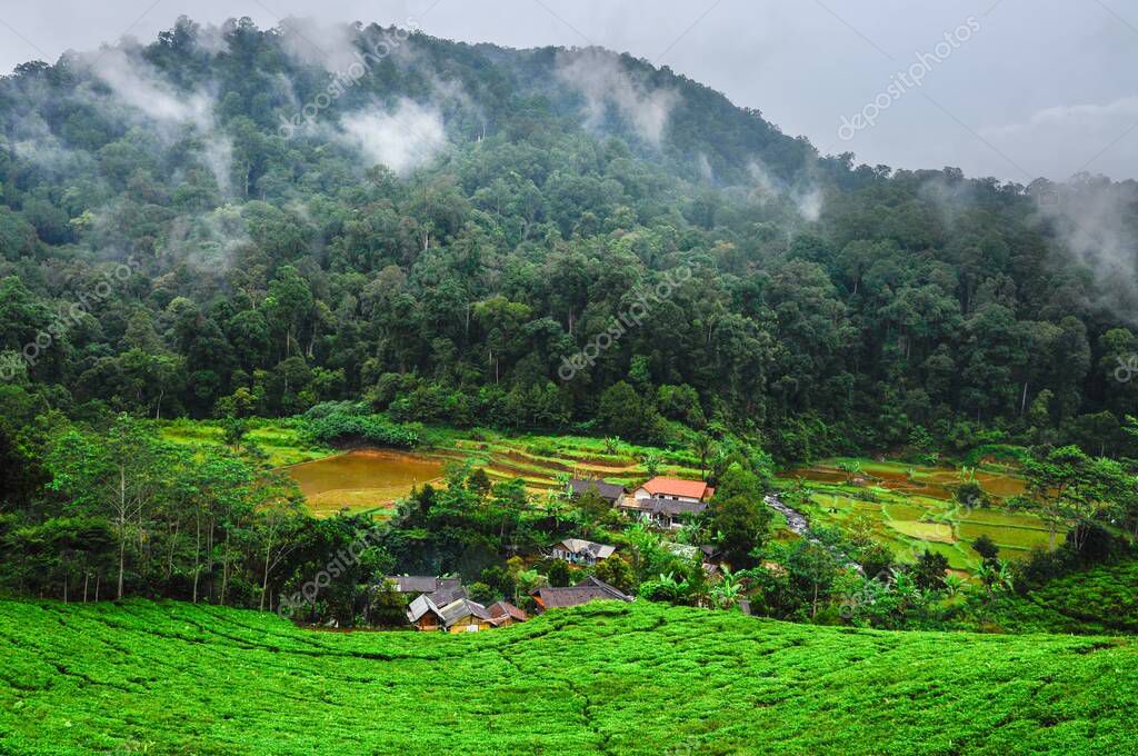 Una toma aérea de un pueblo en la ladera del Monte Gede en Java ...