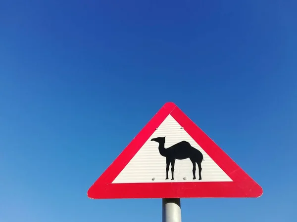 Camel crossing sign Stock Photos, Royalty Free Camel crossing sign ...