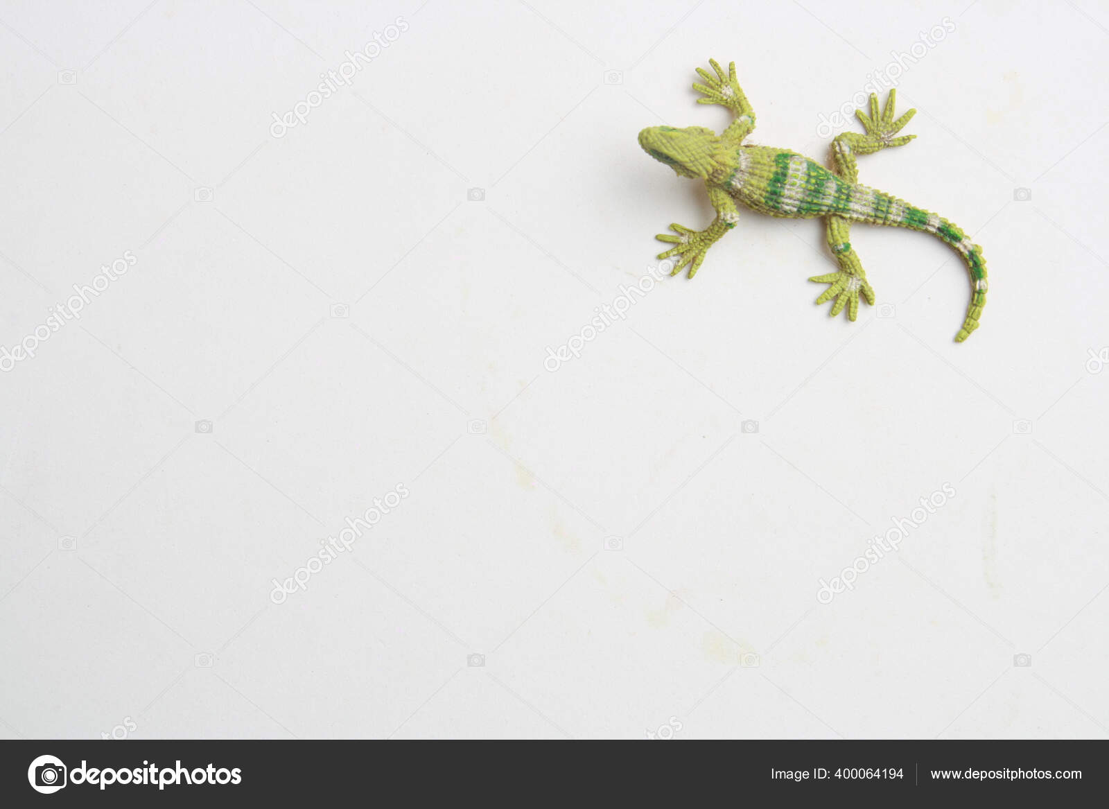 Top View Rubber Lizard Toy Isolated White Background Stock Photo by ...