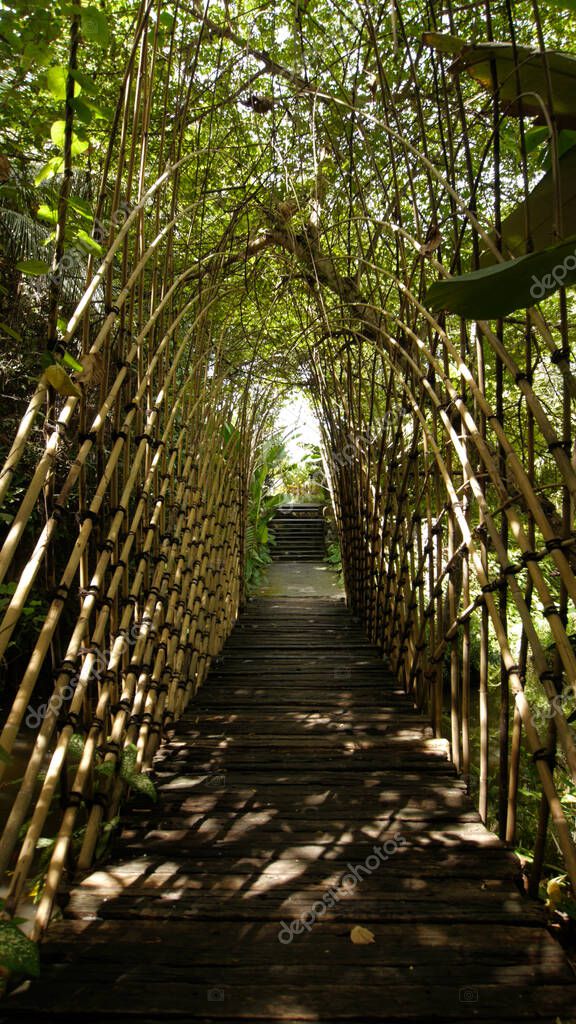 Un plano vertical de una pasarela de madera en Bali con hermosa ...