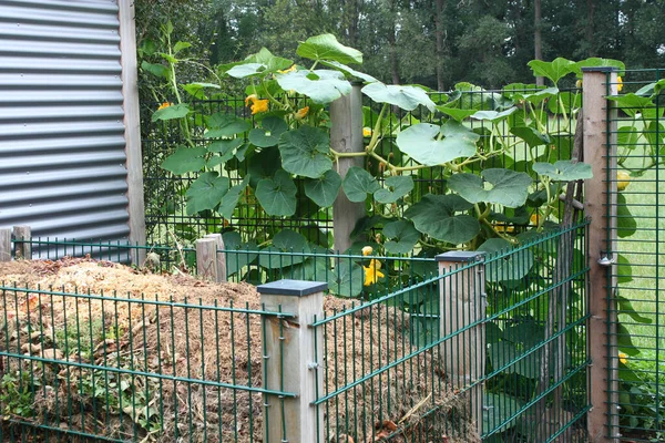 Condell growers und sharers community garden Stockfotos, lizenzfreie ...