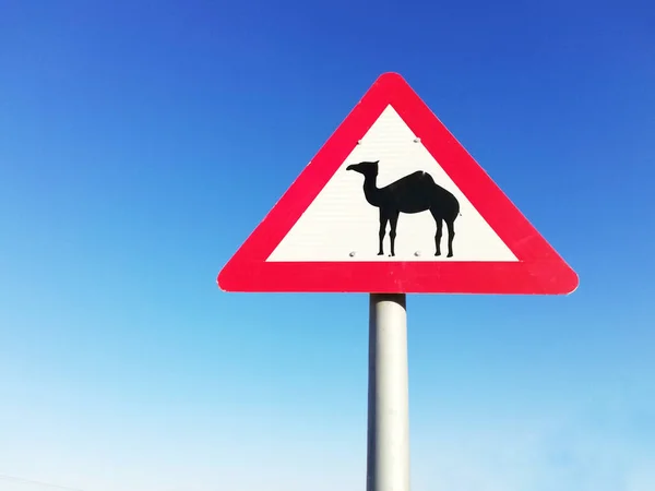 Camel crossing sign Stock Photos, Royalty Free Camel crossing sign ...