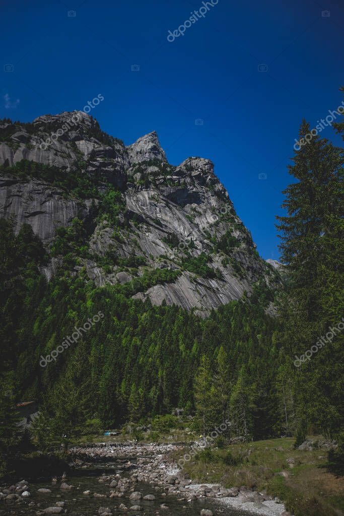 Un tiro de un bosque con montañas rocosas al lado 2024