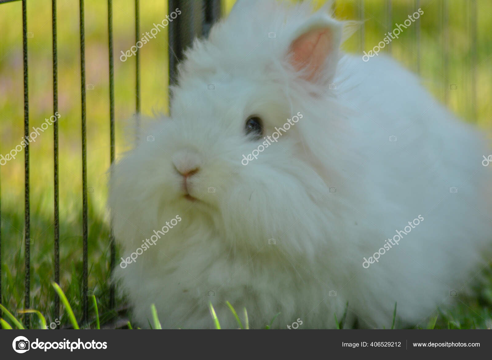 Closeup Shot Cute White Fluffy Bunny — Stock Photo © Wirestock #406529212