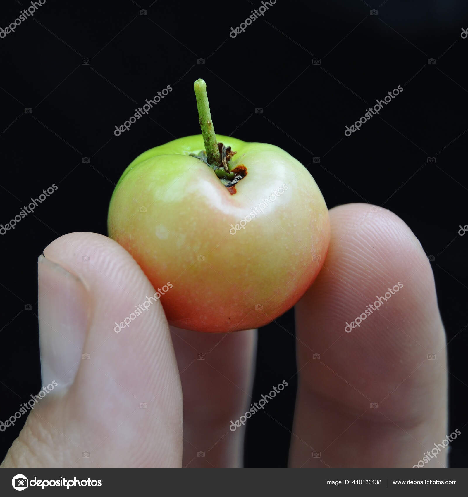 Hand Holding Small Apple Black Background Stock Photo by ©Wirestock ...