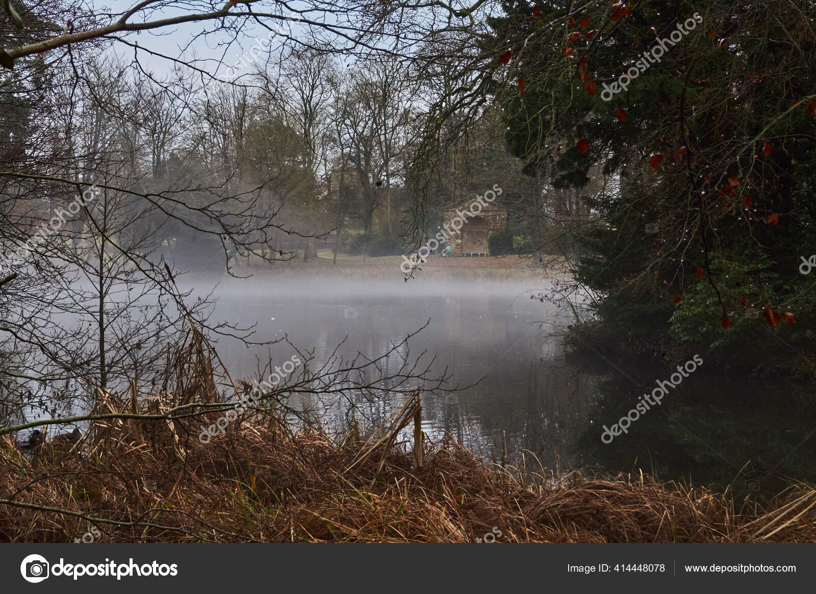 Beautiful Lake Covered Mist Park Stock Photo by ©Wirestock 414448078