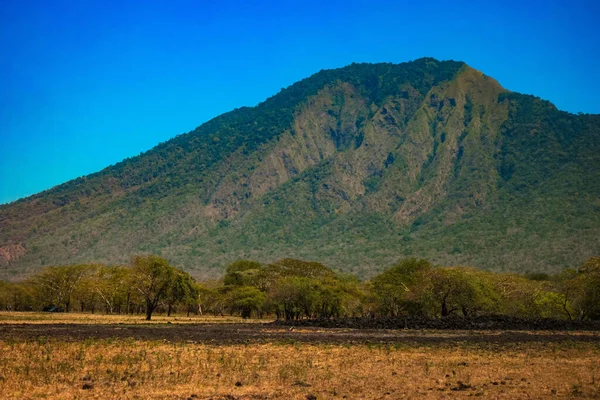 Taman nasional baluran Stock Photos, Royalty Free Taman nasional ...