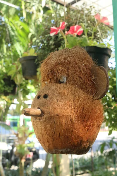 Fotos de Macaco fumando, Imagens de Macaco fumando sem royalties ...