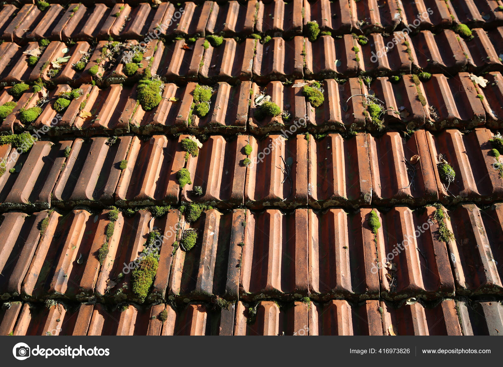 High Angle Shot Leaves Fallen Roof Texture — Stock Photo © Wirestock ...
