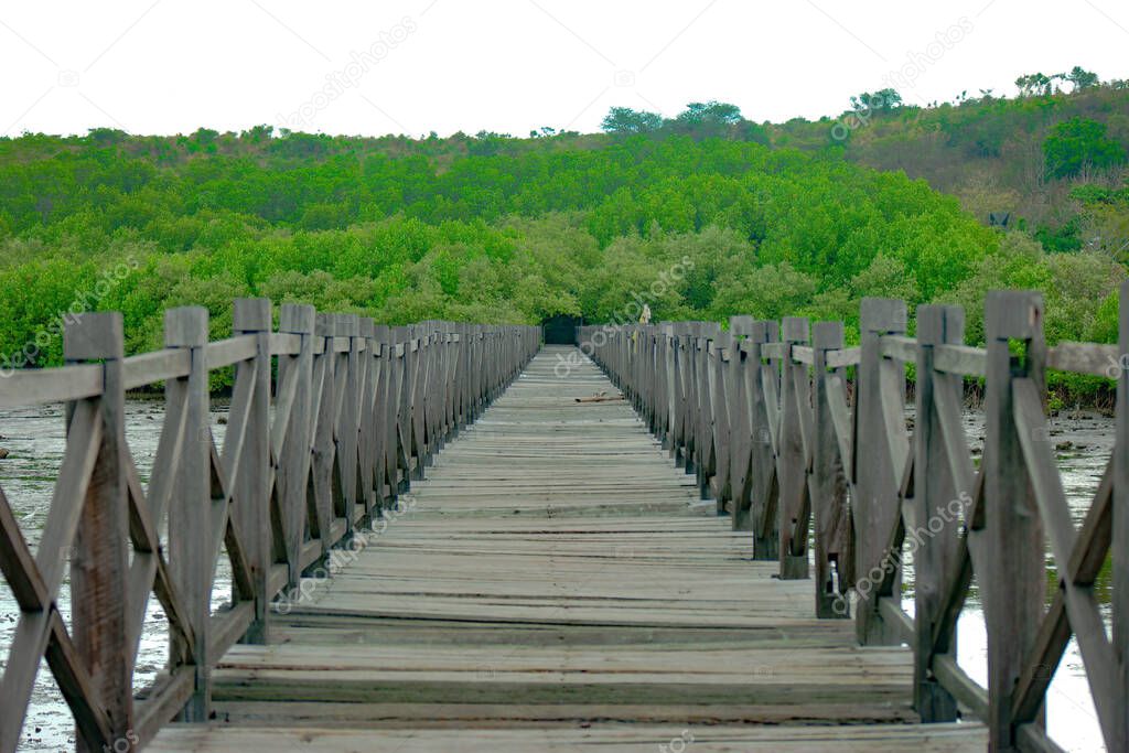 The wooden pier in Bentar Beach leading to the forest in Indonesia ...