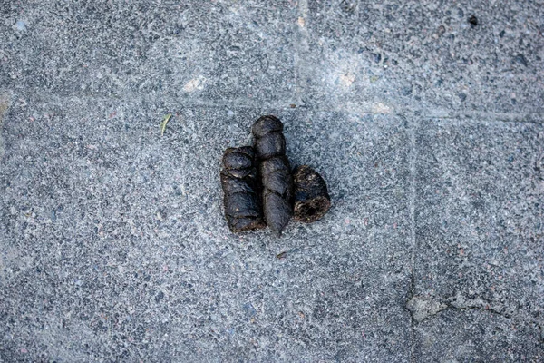 Feces on the street Stock Photos, Royalty Free Feces on the street ...