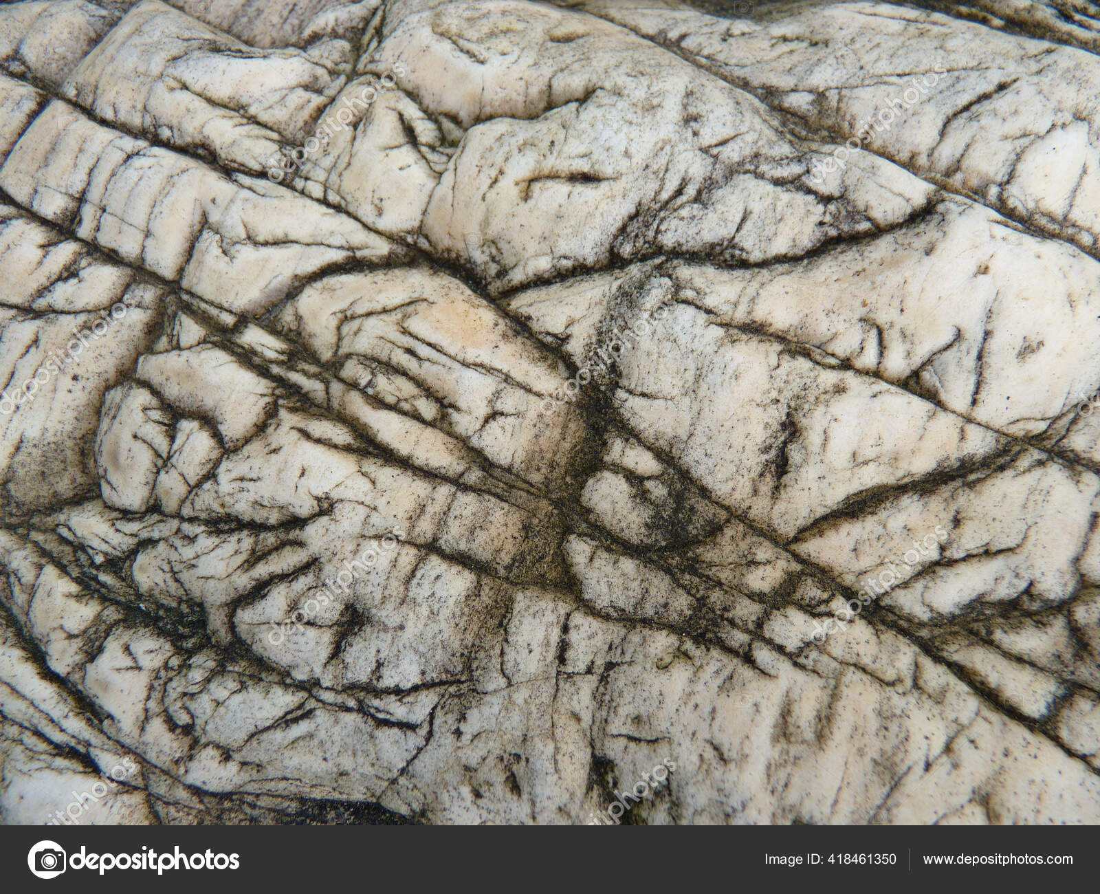 Primer Plano Textura Rocosa — Foto de stock © Wirestock #418461350