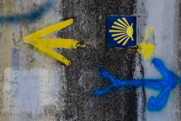 Saint jacob shell Stock Photos, Royalty Free Saint jacob shell Images ...