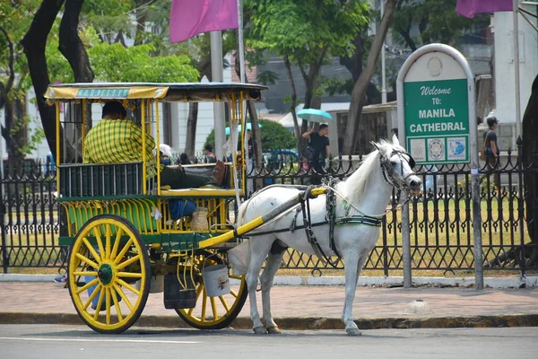 Horse carriage philippines Stock Photos, Royalty Free Horse carriage ...