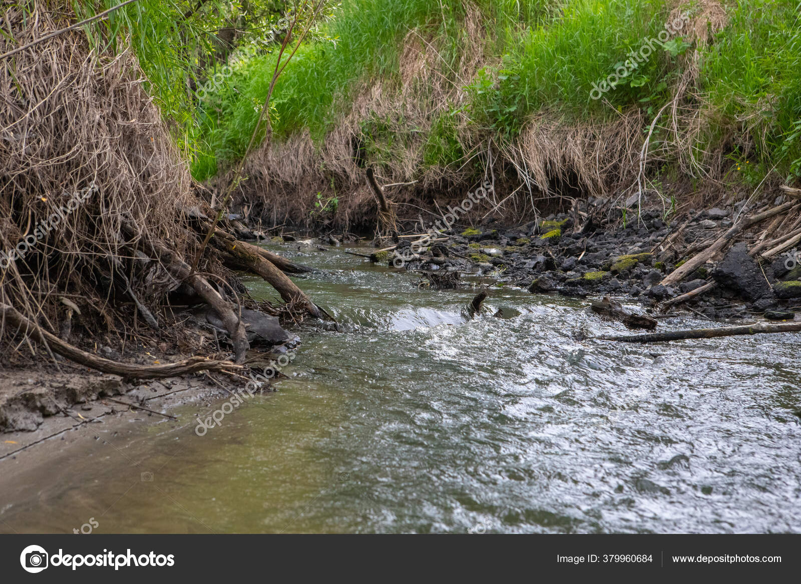 Shallow Forest River Wild View Forest Small River Wild Landscape ...