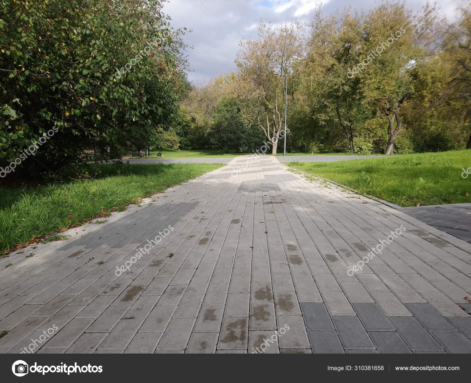 Path Made Paving Slabs Trees Grow Autumn Park — Stock Photo © Ikra765 ...