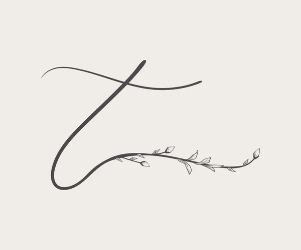 21,687,156 Caligrafia simples Vector Images | Depositphotos