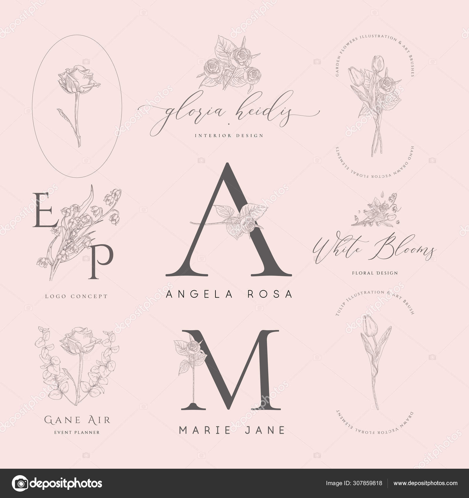 Elementos florales vectoriales para logotipos, marcos bordes Vector de ...