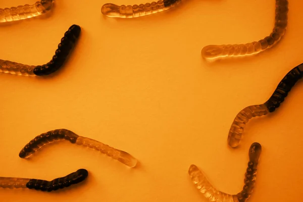 Flea worms Stock Photos, Royalty Free Flea worms Images | Depositphotos