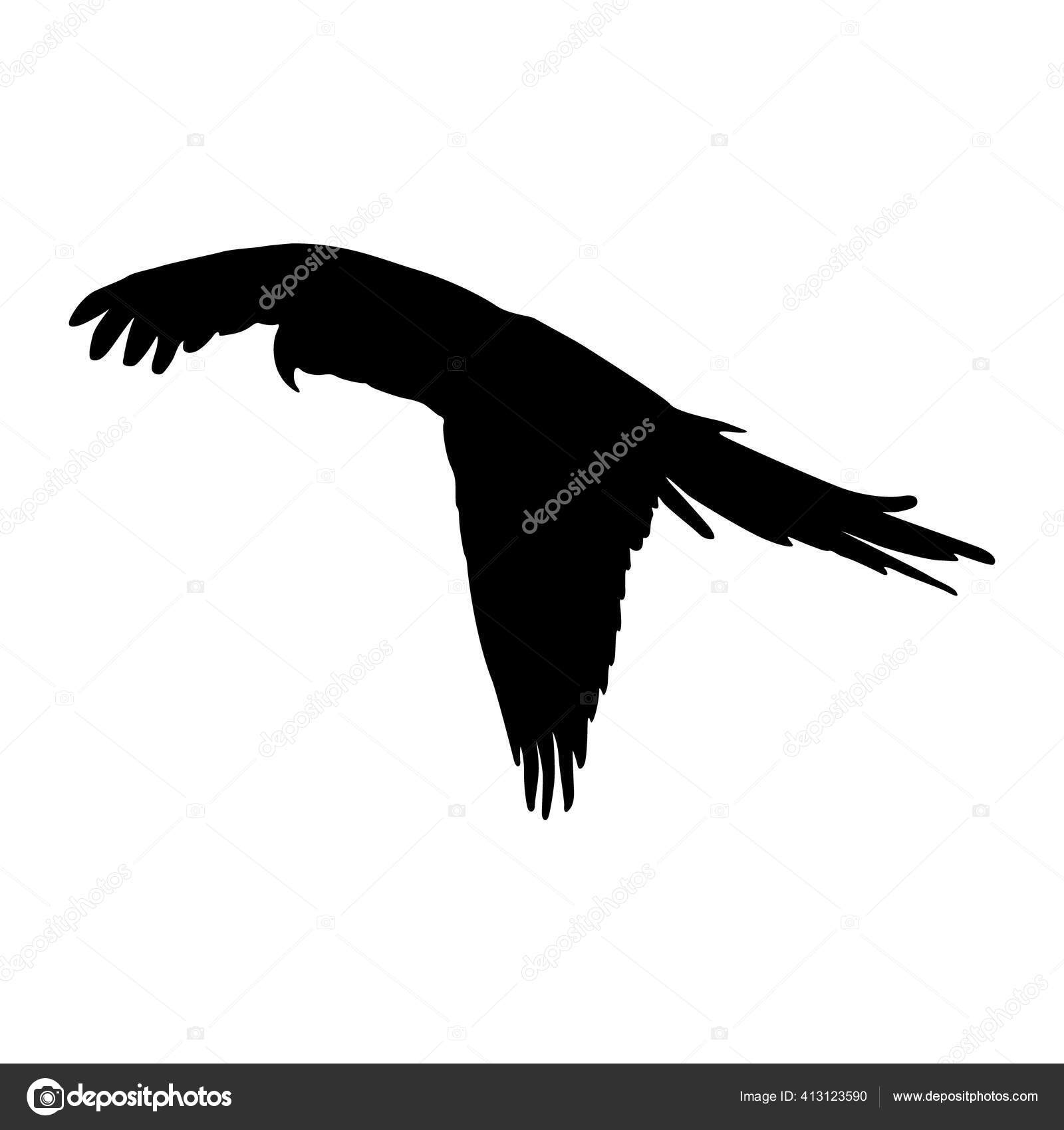 Image vectorielle Flying Macaw Bird Arini Sur Une Silhouette Vue Côté ...