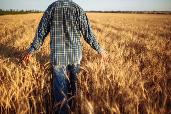 Boer wandelingen Stockfotos, lizenzfreie Boer wandelingen Bilder ...