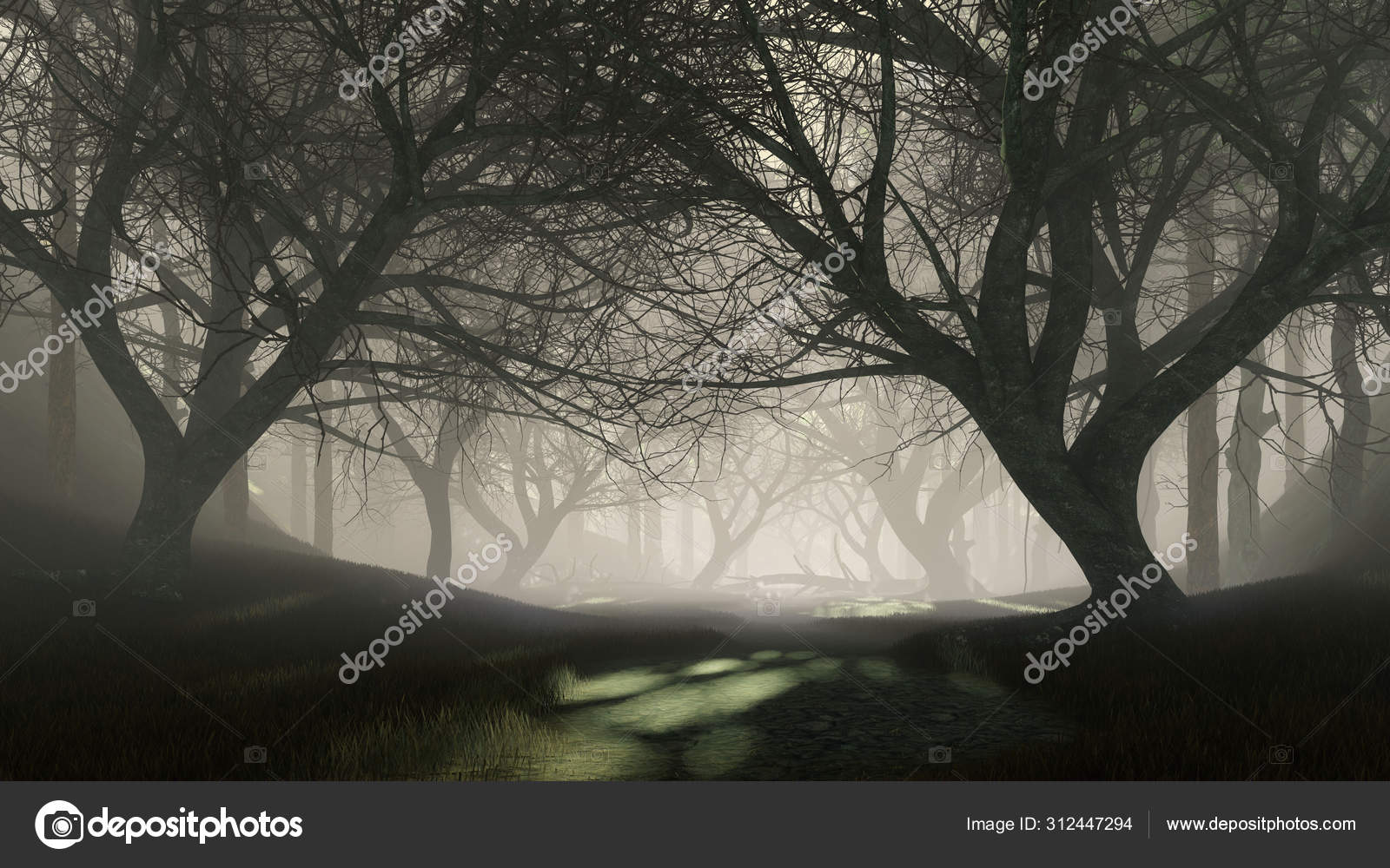 Creepy Dead Trees At Night