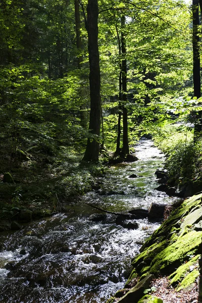 Beautiful clean Landscape in the Rychlebske Mountains, Northern Moravia ...