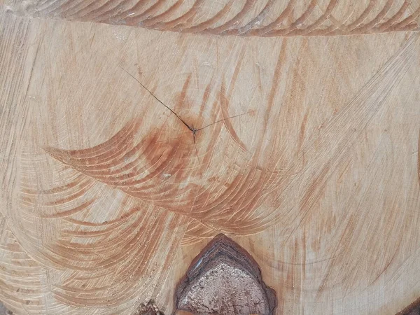 Japanese varnish tree Stock Photos, Royalty Free Japanese varnish tree ...