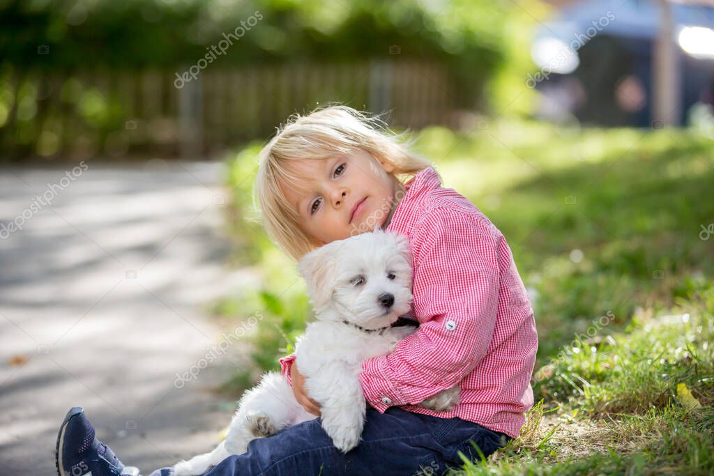 Niño, lindo chico, jugando con perro mascota en el parque, perro maltés ...