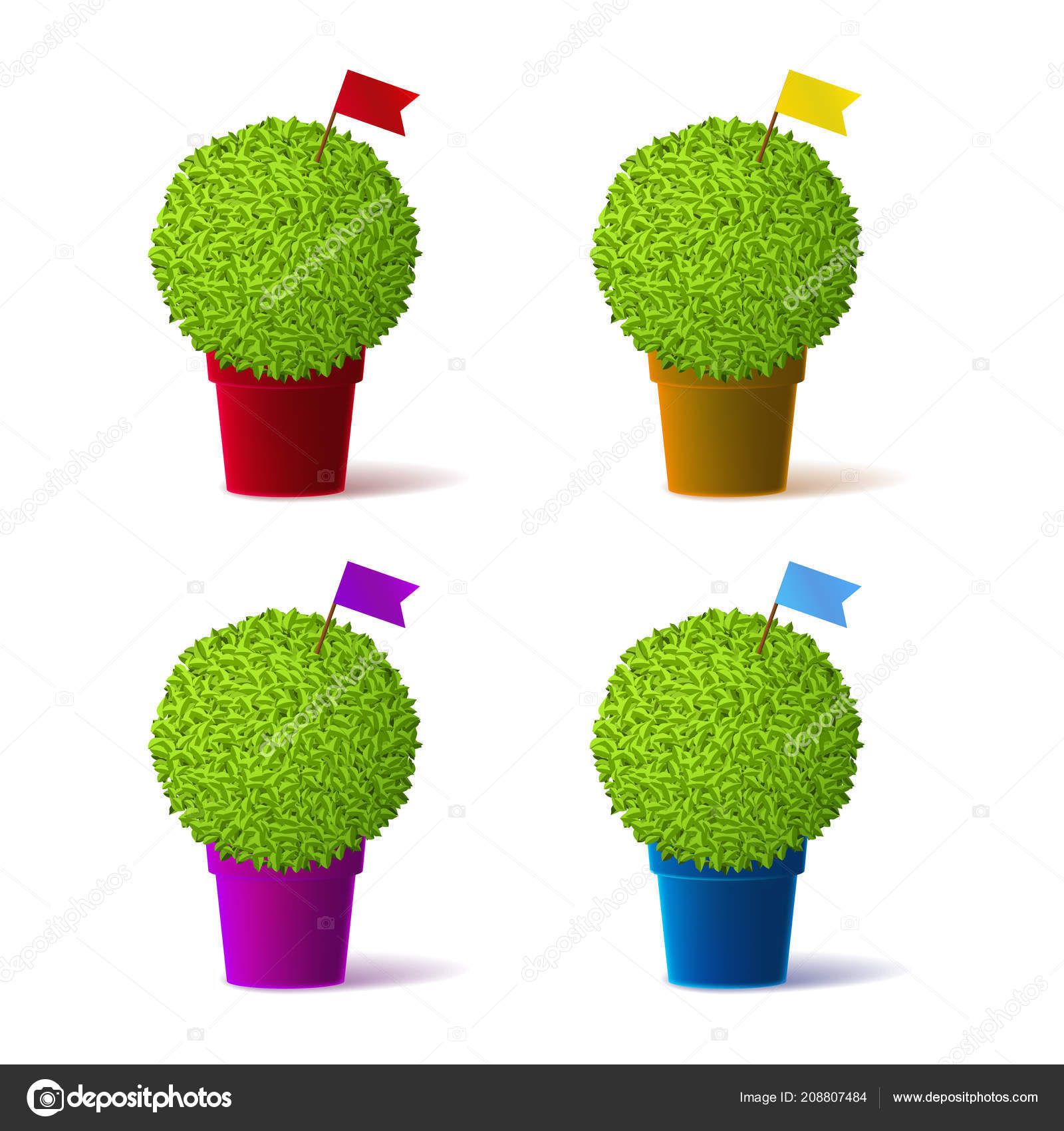 Colorful vector realistic manjerico plant in the pot set Stock Vector ...