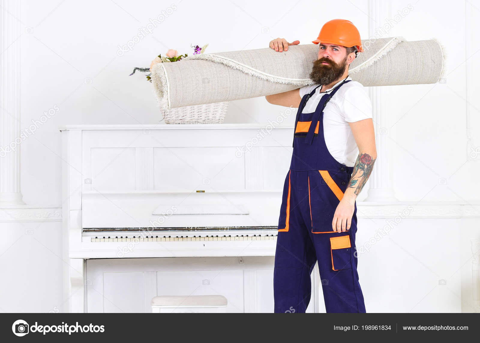 Strong guy lifting rolled carpet isolated on white background. Brutal ...