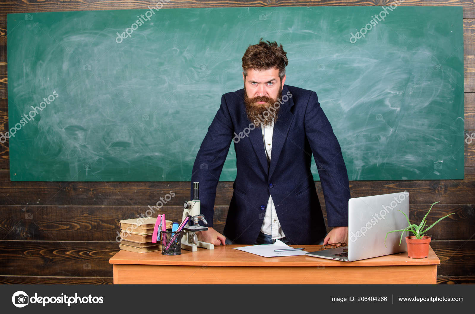 Teacher interesting interlocutor as authority. Teacher bearded man tell ...