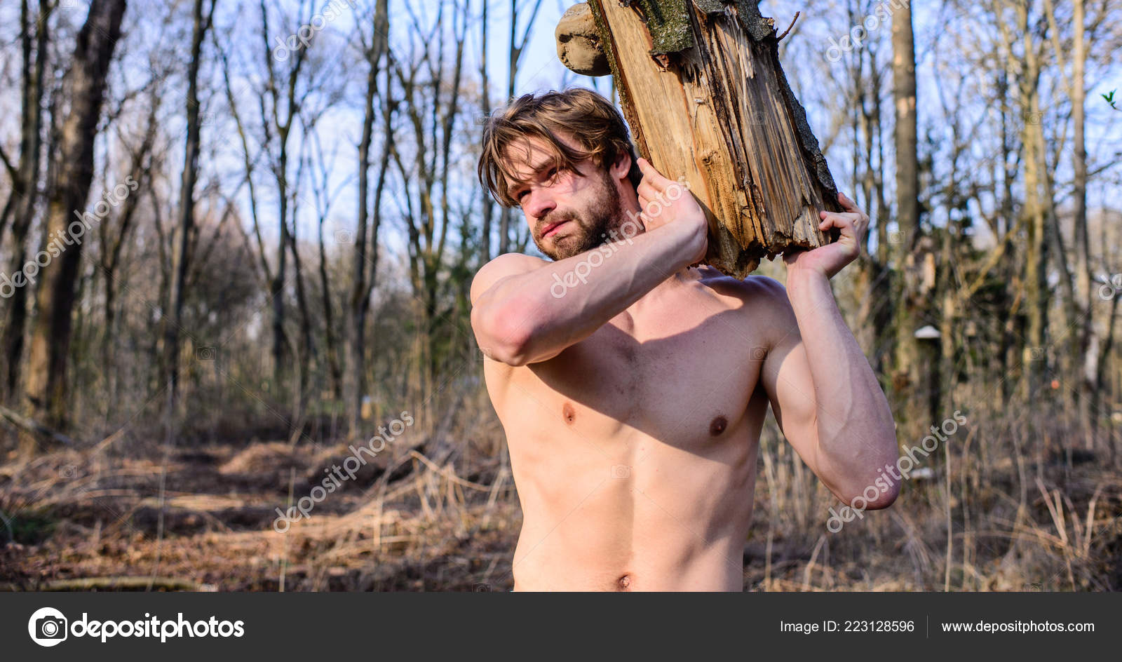 Man brutal strong attractive guy collecting wood in forest. Man brutal sexy lumberjack carry big ...