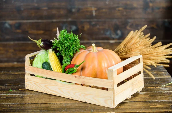 Fall harvest concept. Autumn harvest crops vegetables. Locally grown ...