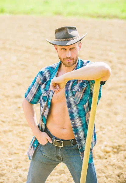 Macho six packs torso wear rustic style clothes and cowboy hat. Strong ...