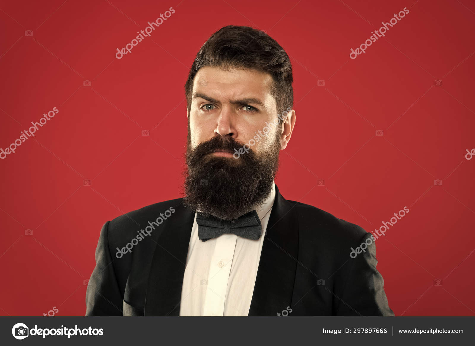 Classy Style Man | ppgbbe.intranet.biologia.ufrj.br