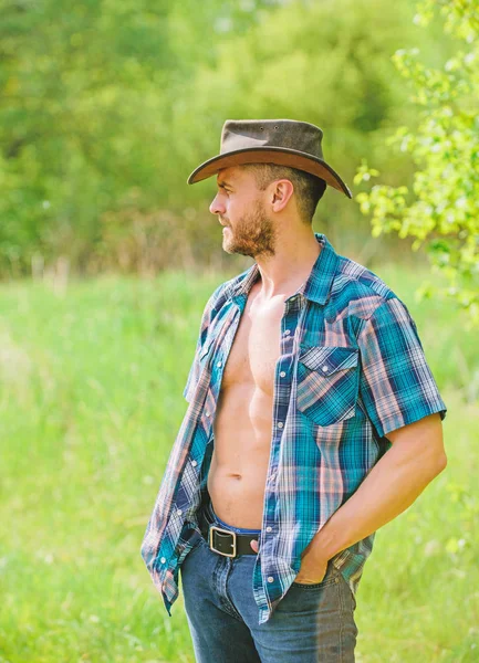 Macho six packs torso wear rustic style clothes and cowboy hat. Strong ...