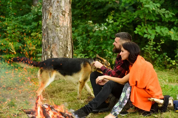 Campfire with dog Stock Photos, Royalty Free Campfire with dog Images ...