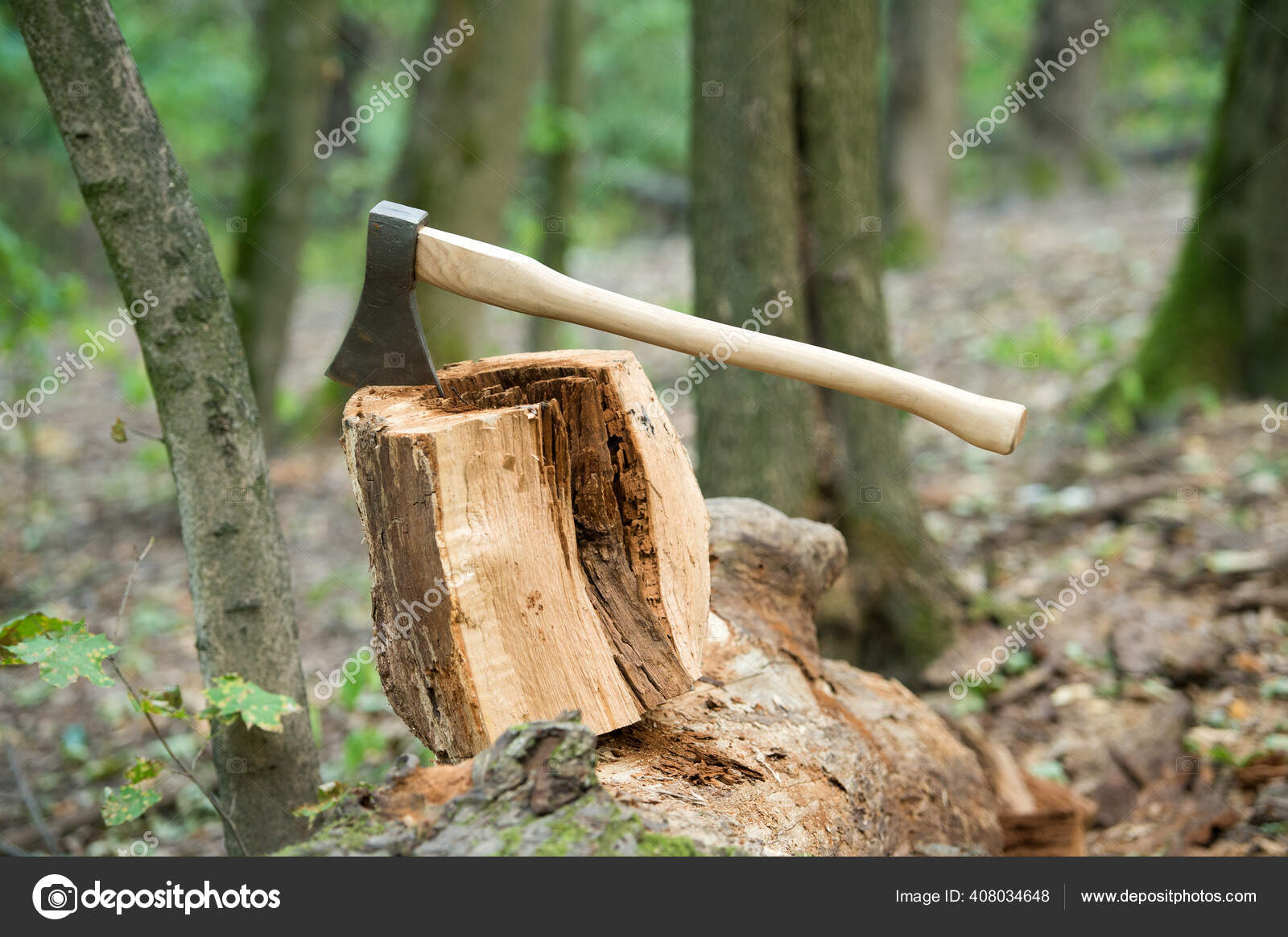 Split and cut. Large axe in stump. Splitting axe on natural landscape ...