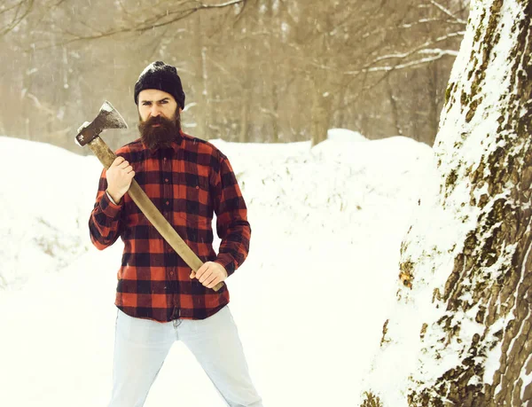 Handsome lumberjack Stock Photos, Royalty Free Handsome lumberjack ...