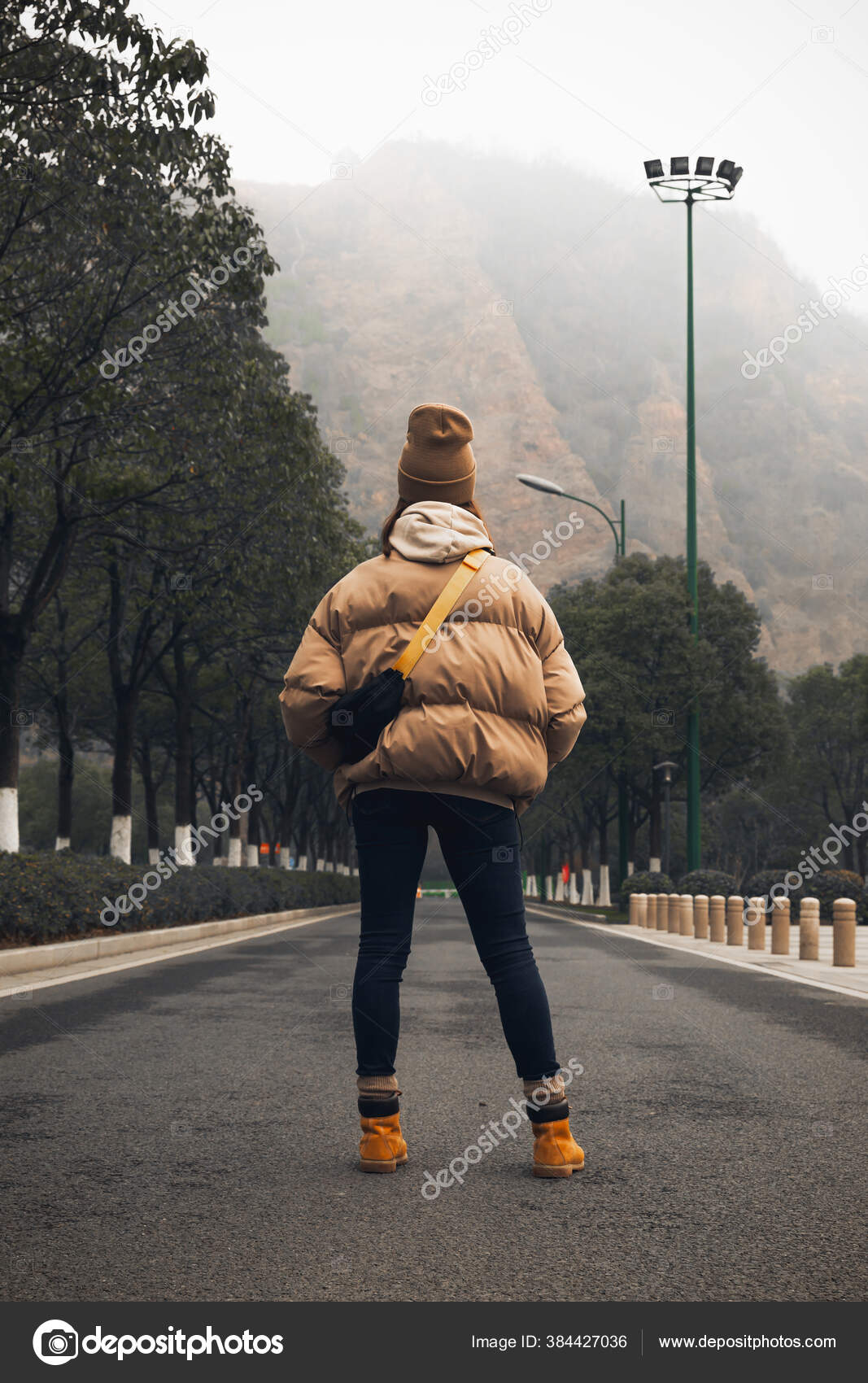Rear View Woman Walking Park Mountains Background Stock Photo by ...