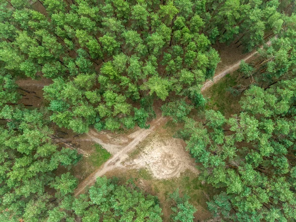 Forest top view Images - Search Images on Everypixel