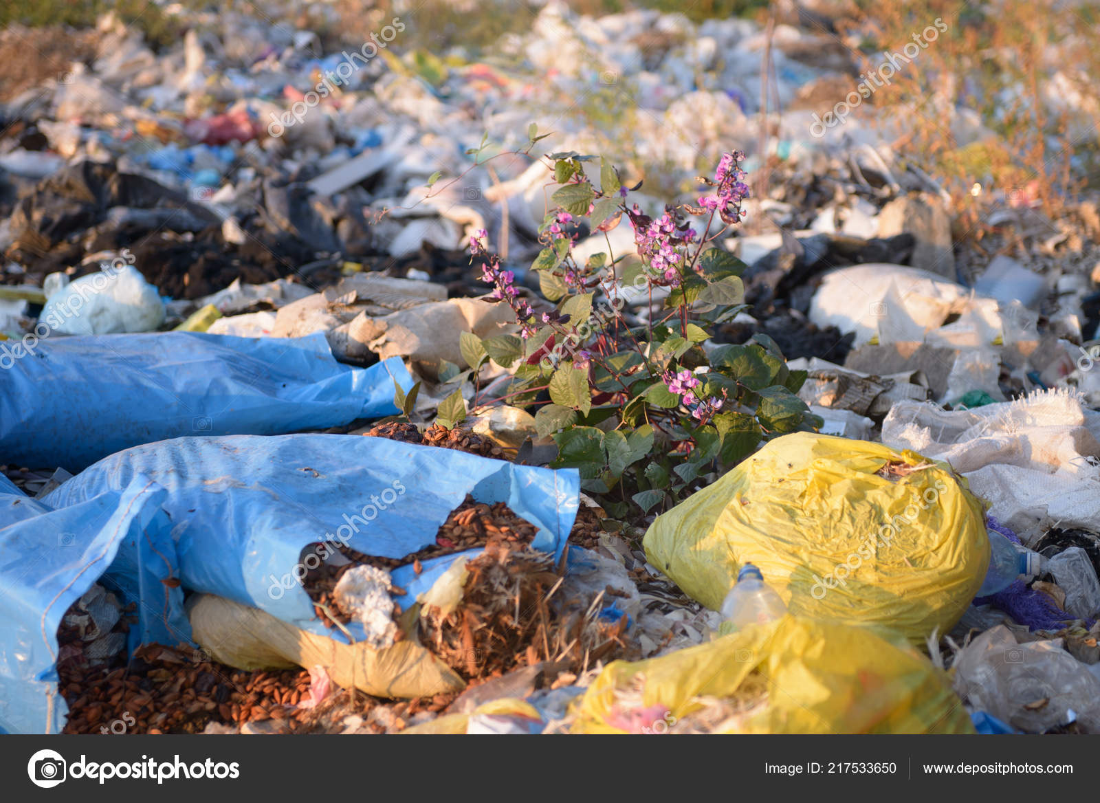 Garbage Dump Natural Background — Stock Photo © olegkrugllyak #217533650