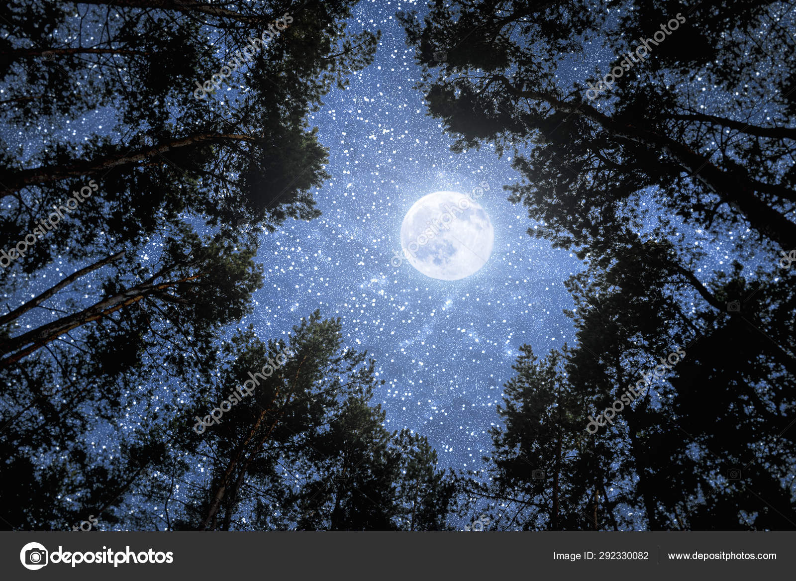 Forest Moon Night Sky