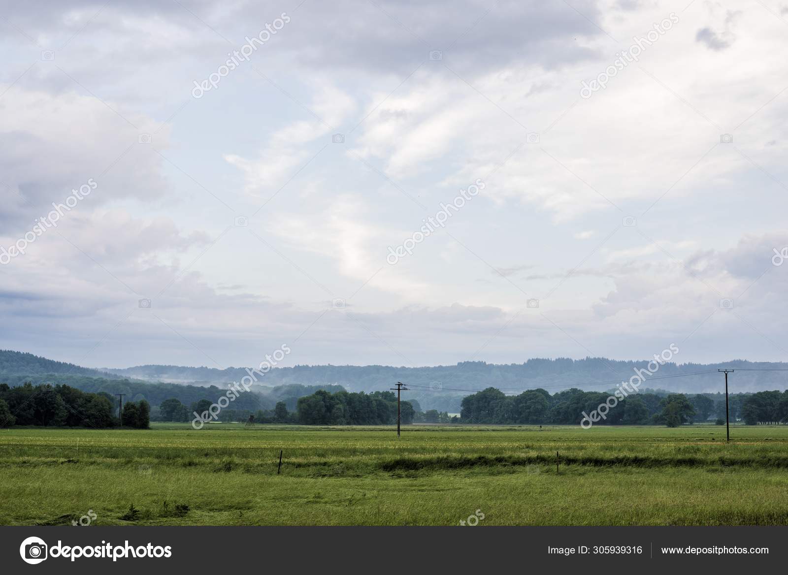 A view of the green country field with a forest in the backgroun ...