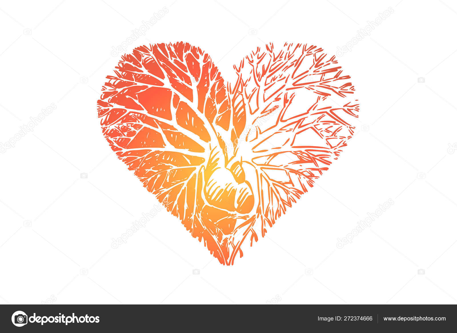 Heart Growing Drawing