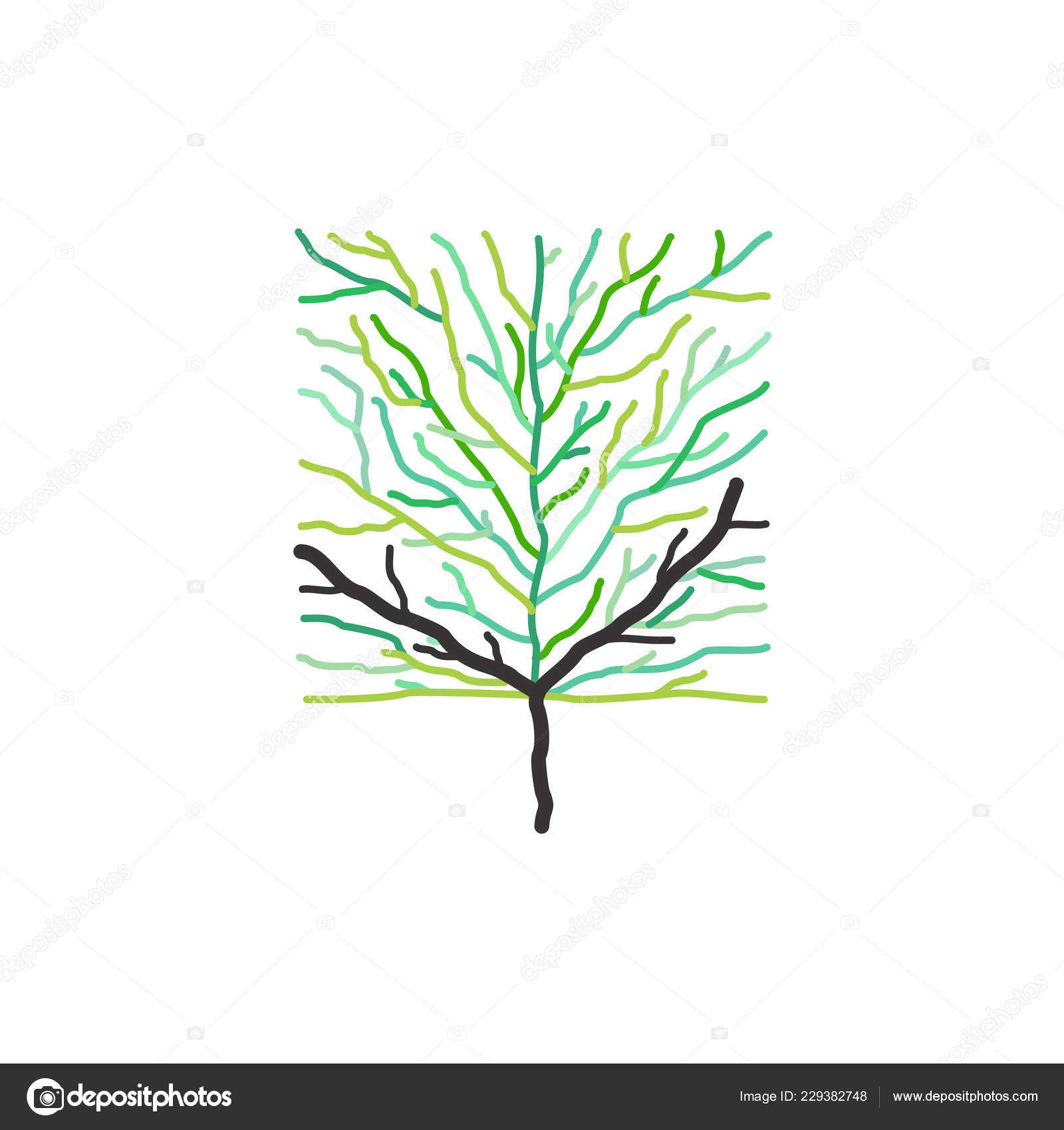 Vector Illustration Colored Tree Branches Isolated White Background ...
